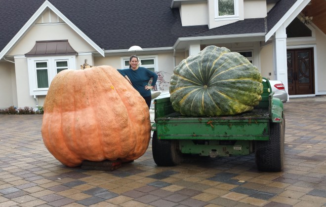 Seeds – Giant Pumpkins British Columbia